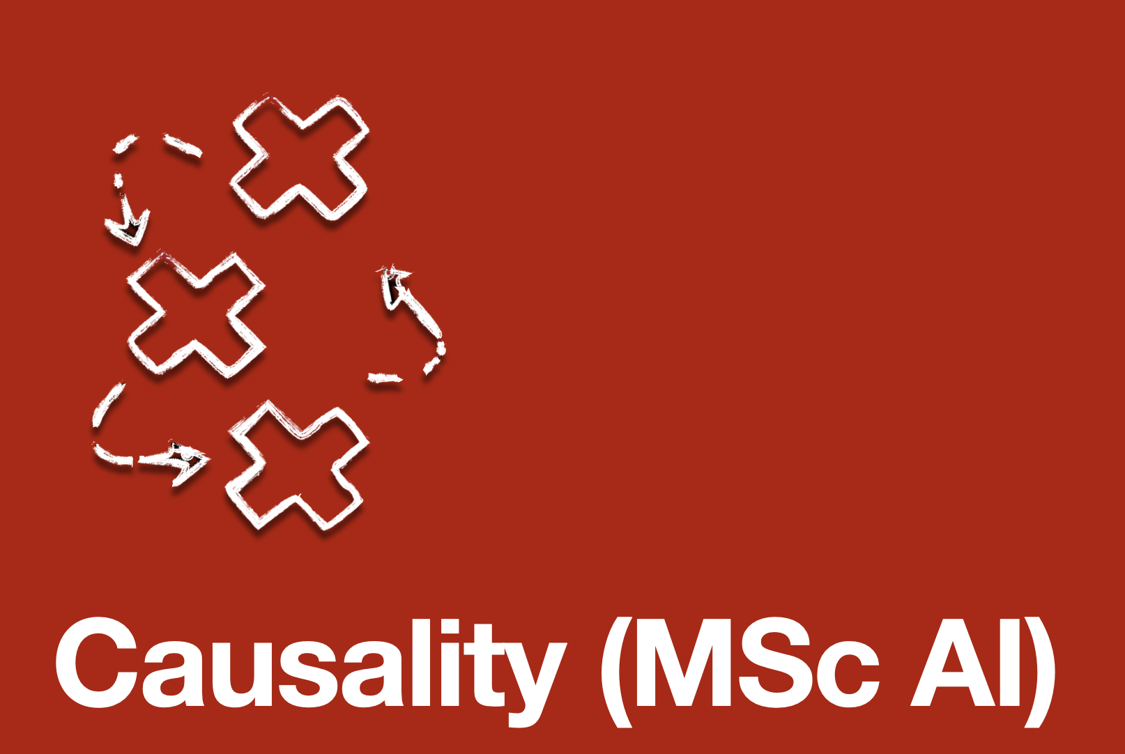 Causality (MSc AI) | Sara Magliacane